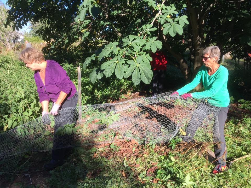 Parsellhagen – Hamar Sanitetsforening